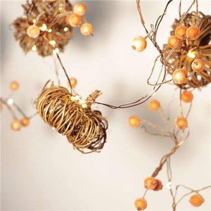 Holiday | Halloween Decor Rattan Pumpkin Berry String Lights 1ft 30leds ...